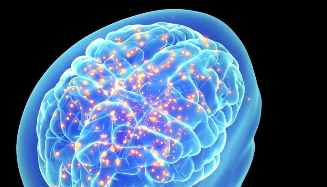 Tip of the Spear, Edge of the Mind: Neurotechnology’s Roles in the Future of Special Operations ...